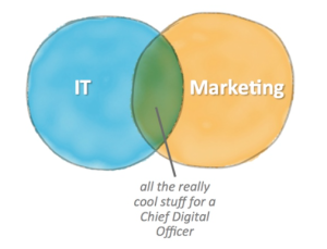 Customer Experience & Insights | Sean Moffitt